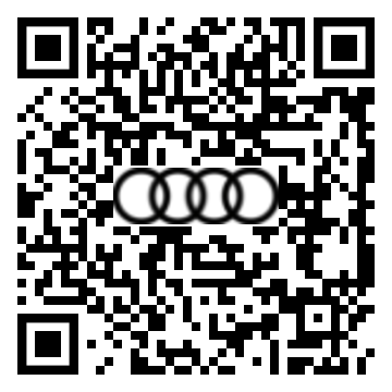 Audi India